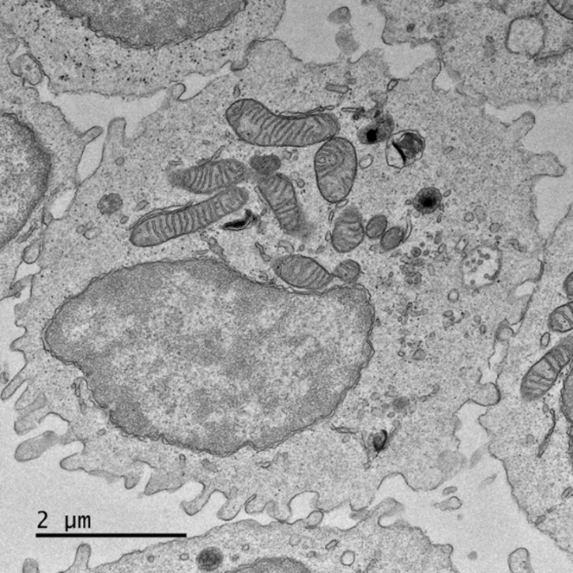 BioiAP (바이오이미징데이터 품질선도센터)