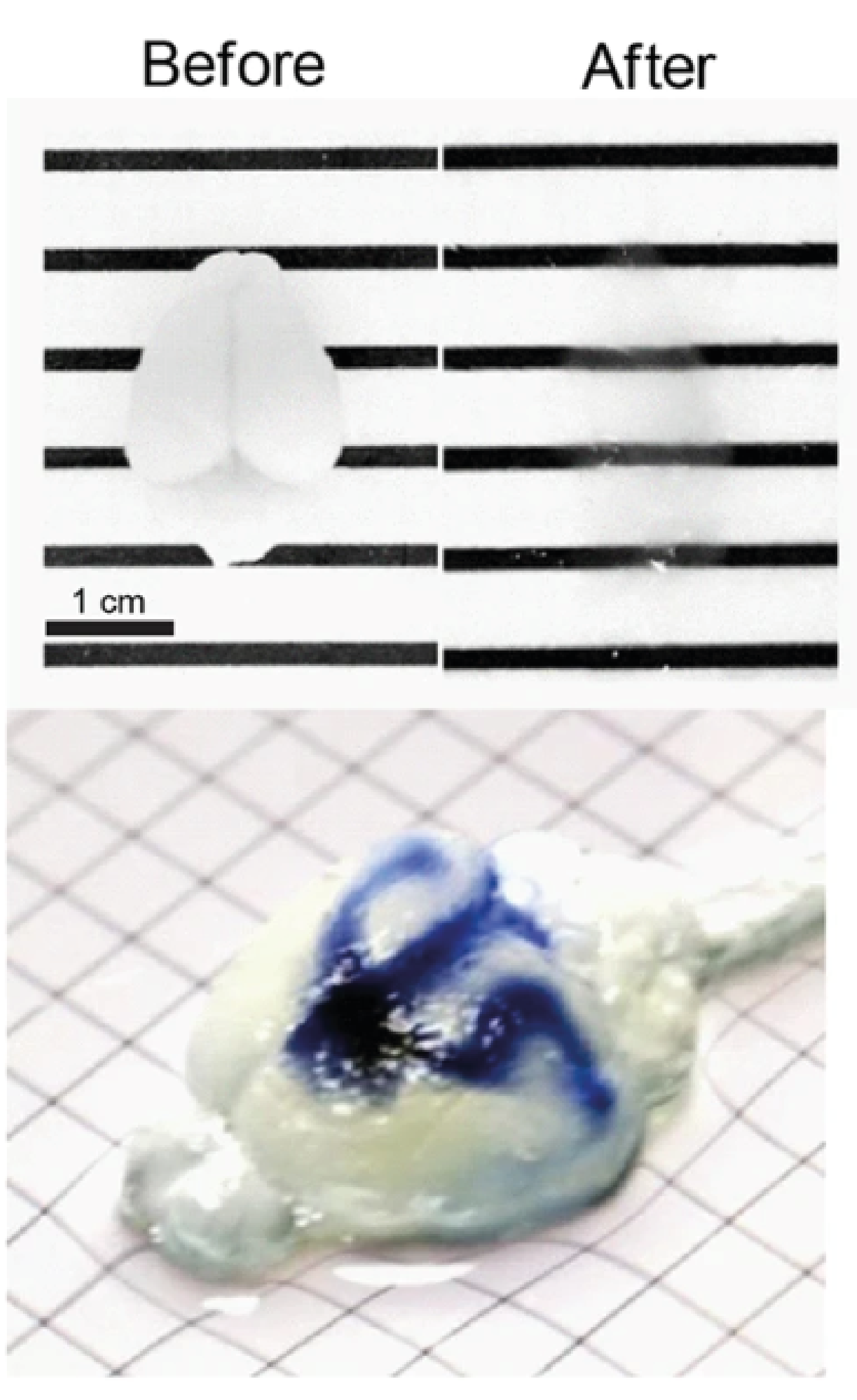 BioiAP (바이오이미징데이터 품질선도센터)