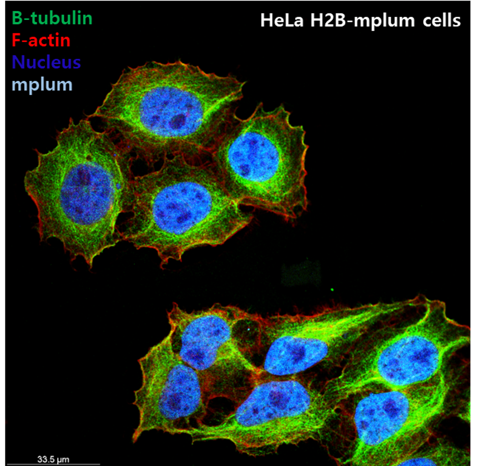 BioiAP (바이오이미징데이터 품질선도센터)